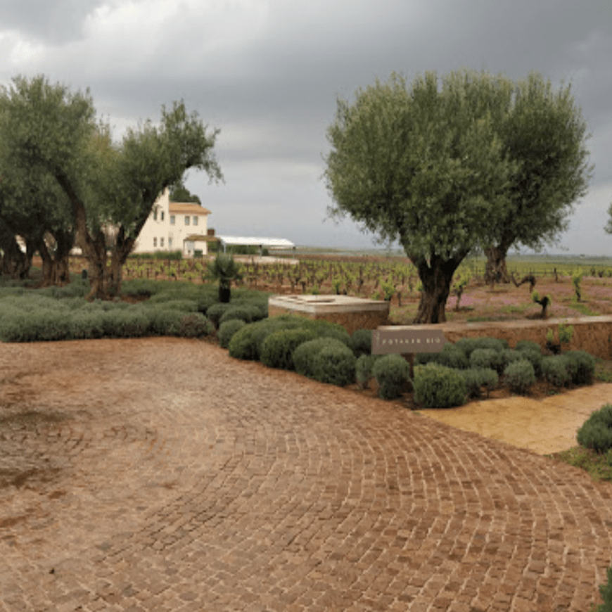 Moroccan Wine & Vineyards, Wine & Food Tasting Morocco - Morocco Travel ...