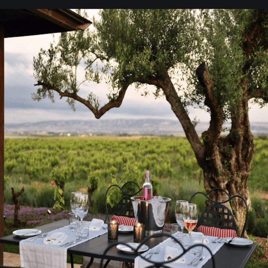 Morocco's Top Vineyards and Wine History - Morocco Travel Blog