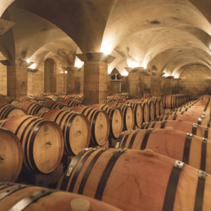 Morocco's Top Vineyards and Wine History - Morocco Travel Blog