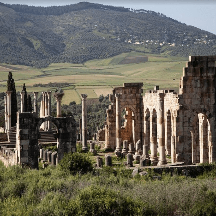 Top 10 Things to See and Do in Moulay Idriss & Volubilis - Morocco ...