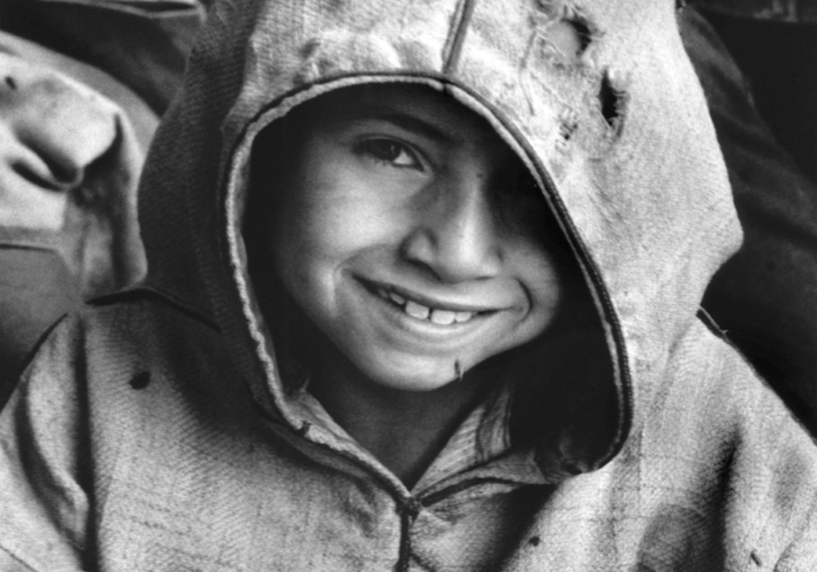 Charles Henneghein, Pulmonologist Turned Wildlife Photographer Exhibits ...