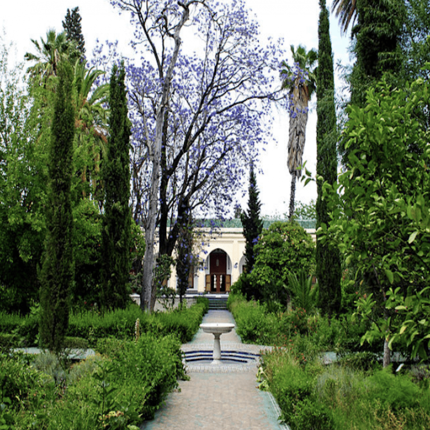 6 Best Private Tours in Morocco, Post Covid Tailor Made Travel ...