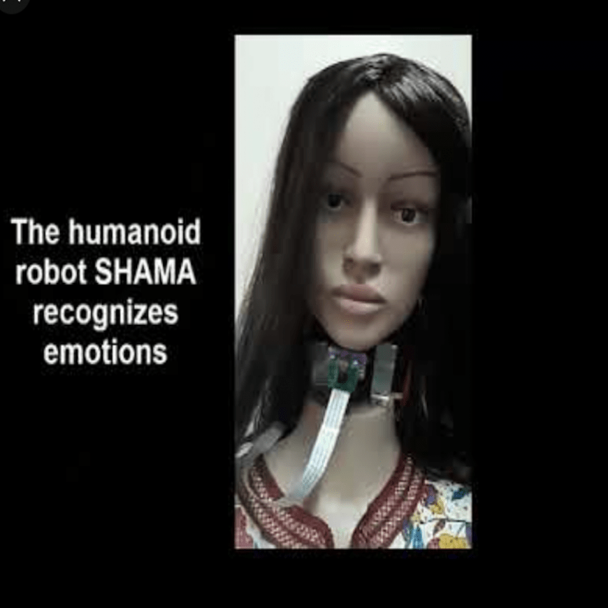 US Company Finances First Moroccan Made Robot ‘Shama’ - Morocco Travel Blog